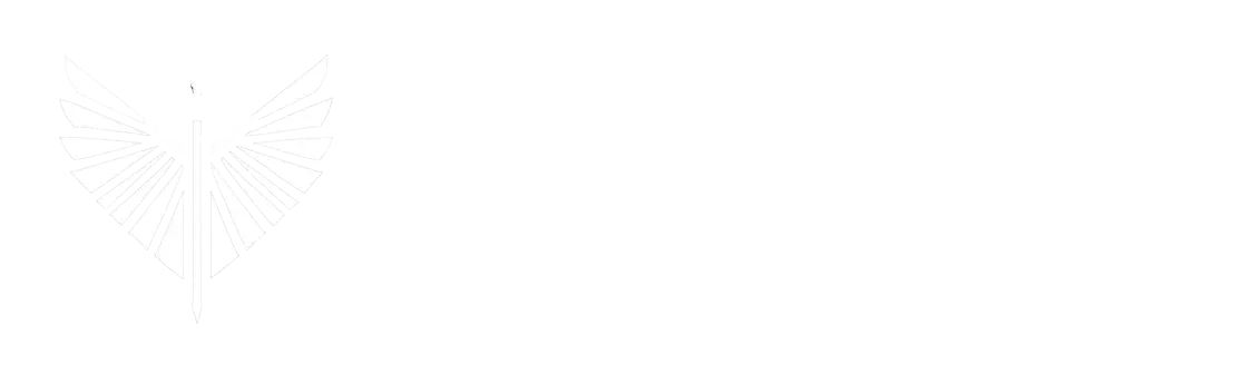 Sentinel Dynamics | 3D Printed UAV Platforms & FPV Drone Training